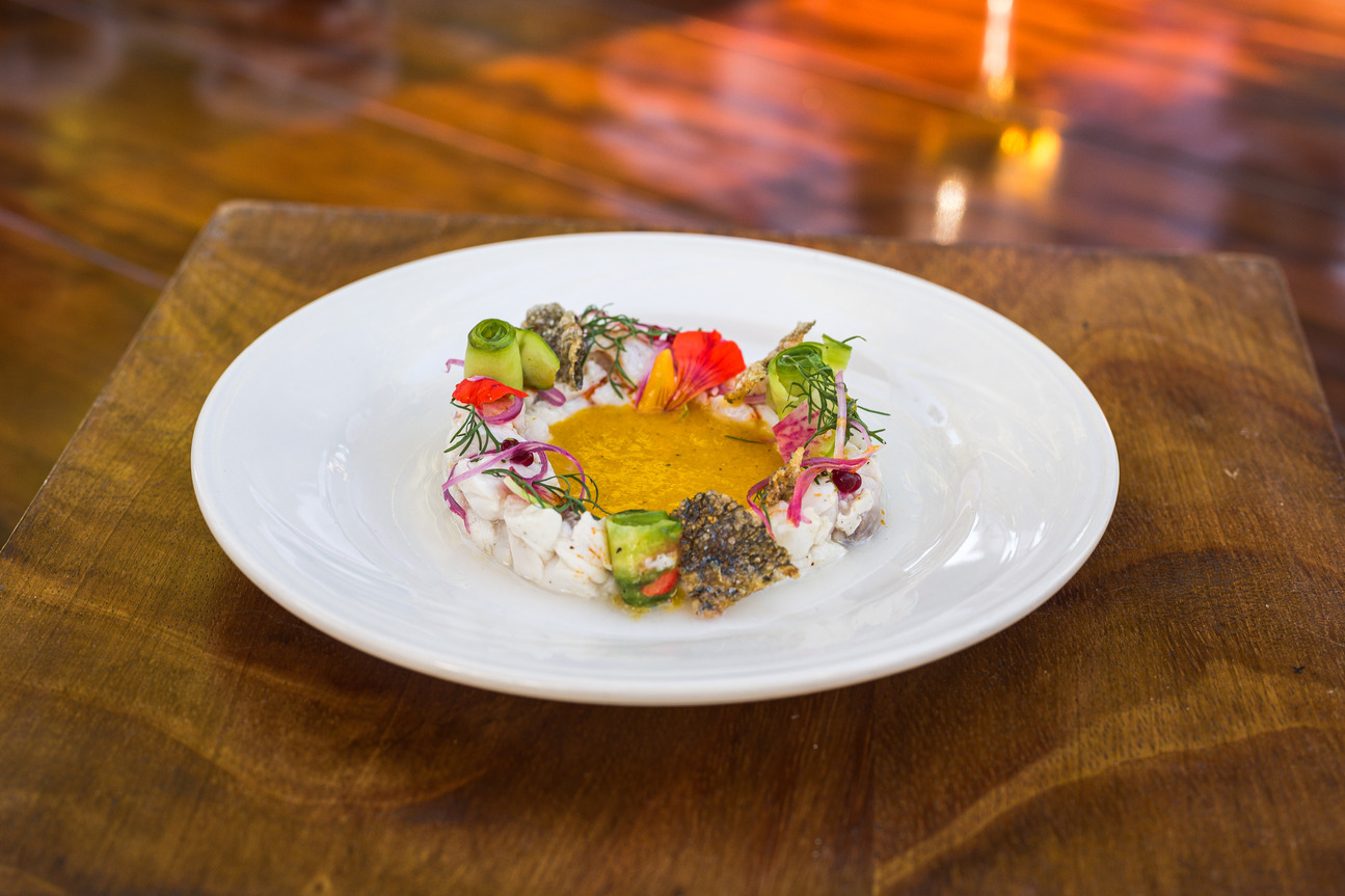 Chef X Los Cabos 2024 - Culinary Awards Los Cabos